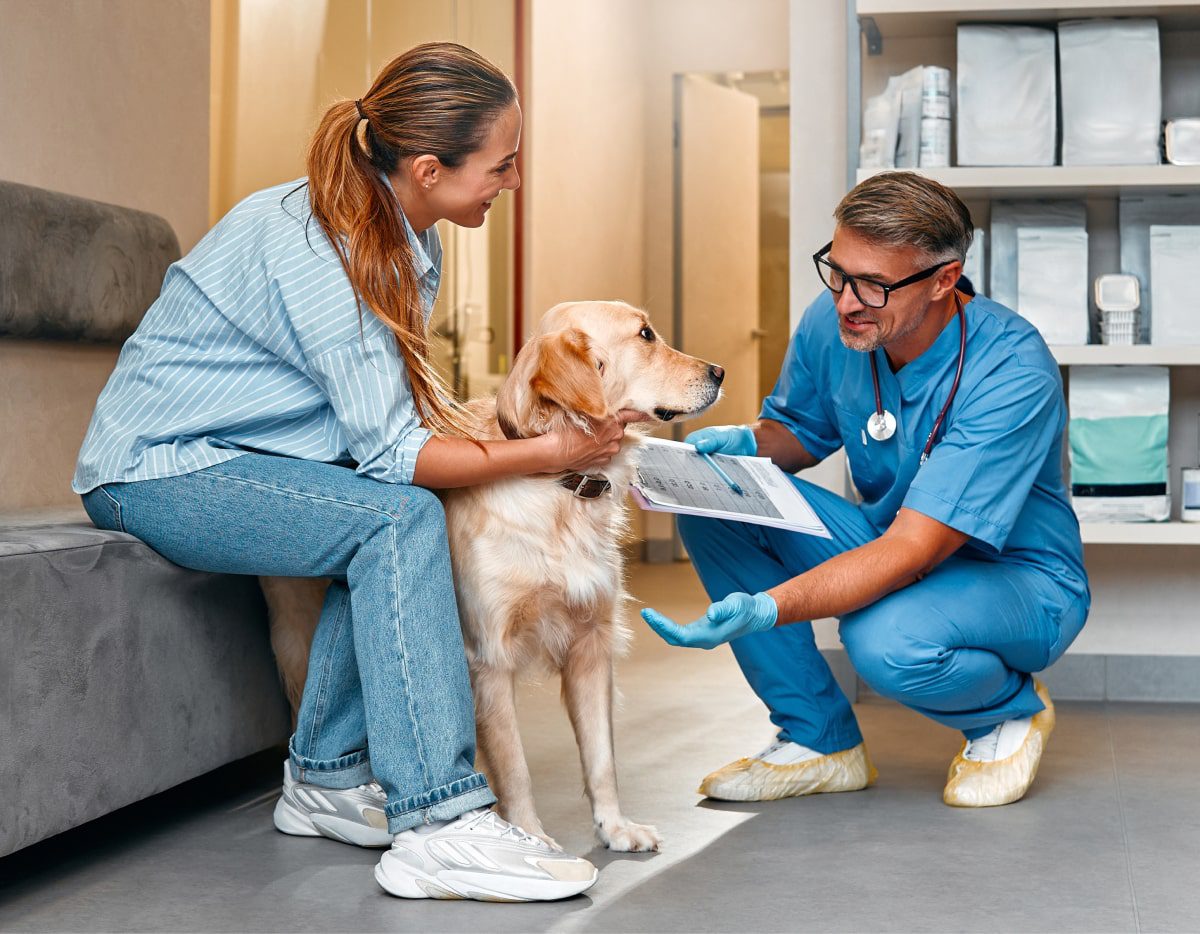 Employee Spotlight: Jenna - Wyomissing Animal Hospital